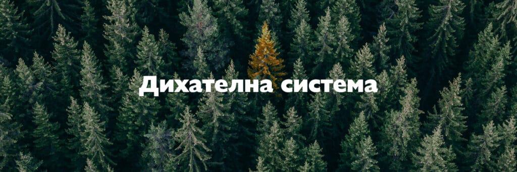 Дихателна система - Структура, функция, заболявания и изследвания